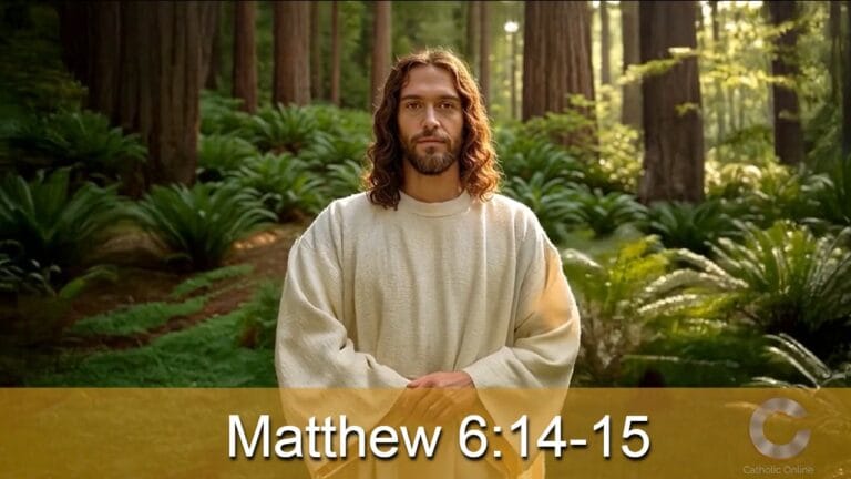 The Gospel of Matthew – Journey with the Messiah